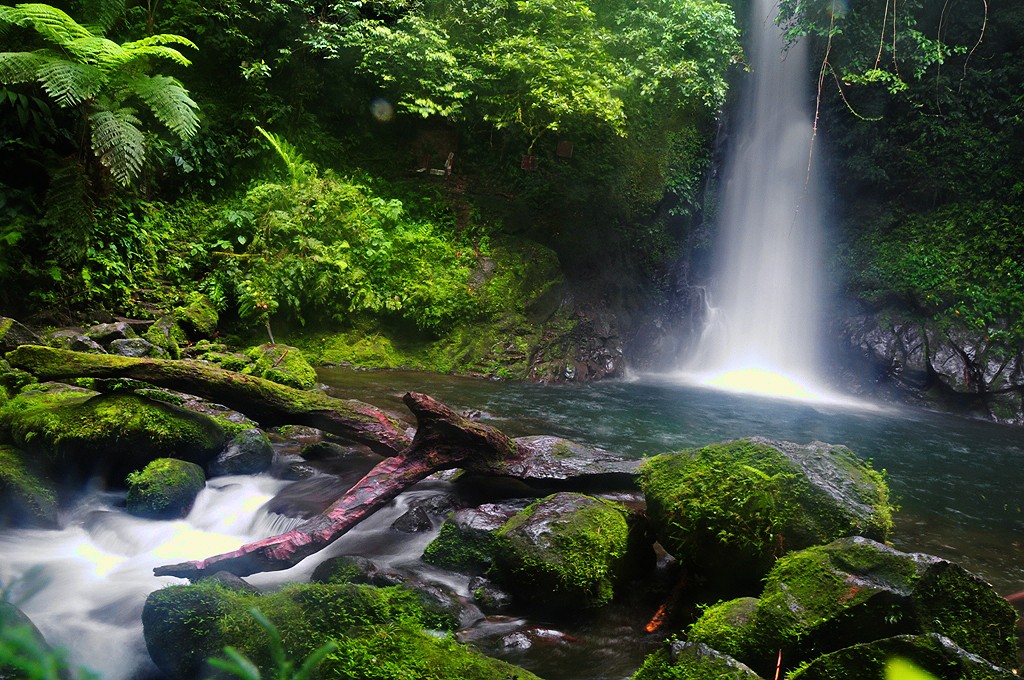 Mt. Isarog to reopen starting April 1 – IMJ News